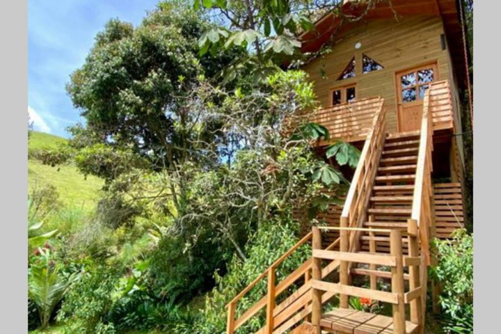 La Casa En El Bosque - La Ceja