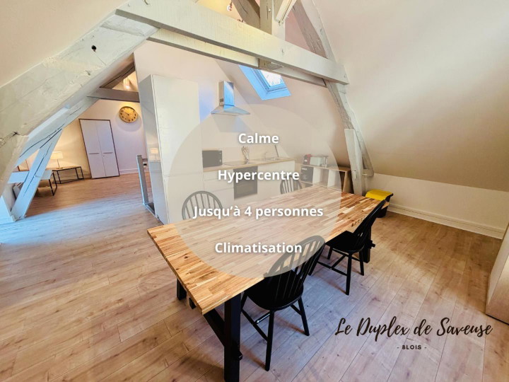 Nouveau ! Calme, Hypercentre, Climatisation, Duplex 2 Chambres - Blois