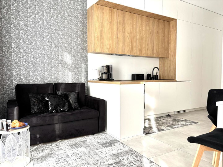 Easy Rent- Business 194, 24h Check-in, Free Parking - Lublin