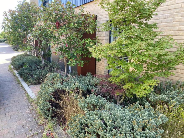 Homely & Warm Trumpington House W Parking, 5 Mins Drive To Bio Medical Campus, Addenbrooke's & Papworth Hospitals - Cambridge