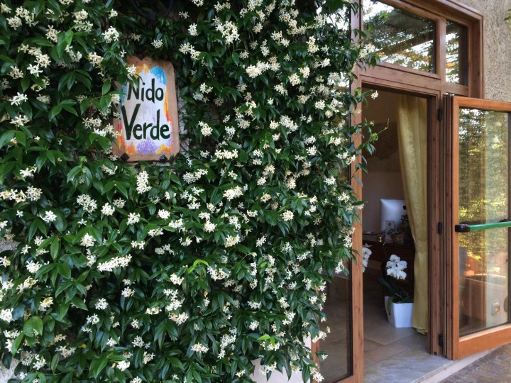 Nido Verde - Positano