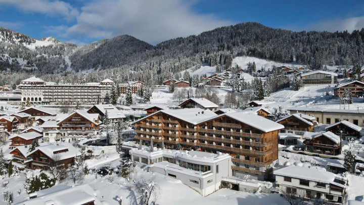 Viu Hotel Villars - Les Diablerets