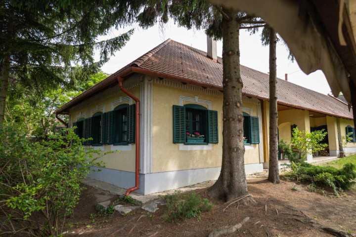 The Explorer's Lodge - Kalandor Vendégház - Veszprém