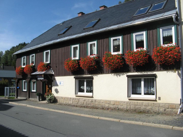 Ferienwohnung Wild - Klingenthal