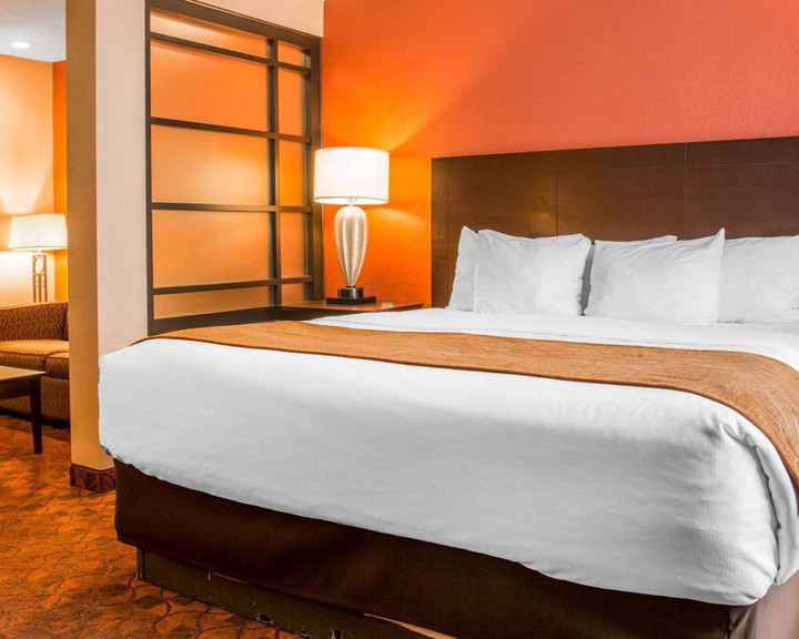 Comfort Inn & Suites And Conference Center - Michigan