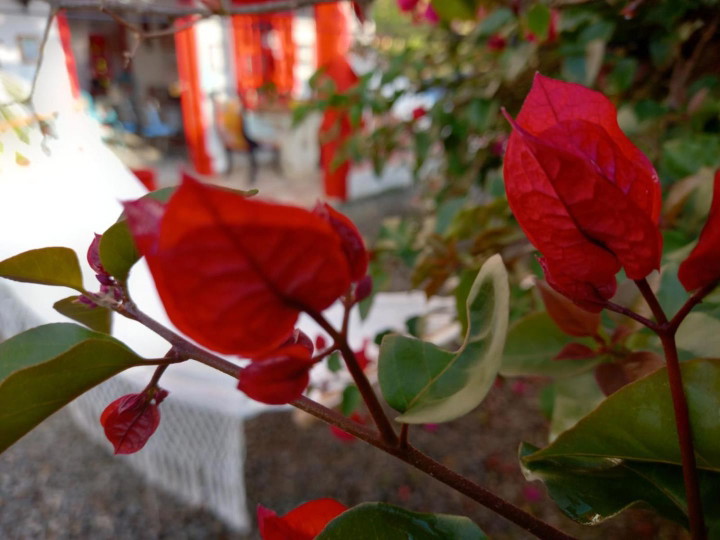 Casa Hotel Villa Marta - Jericó