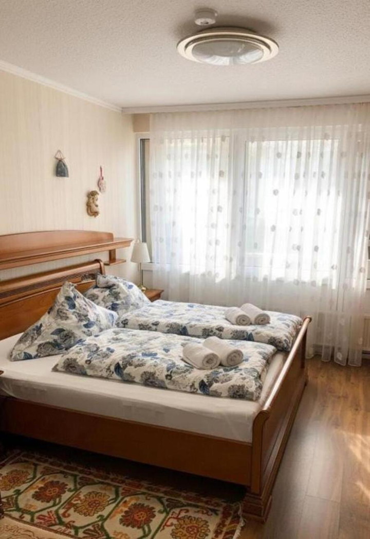 Schönes Apartment Mit Pool&sauna - Bingen