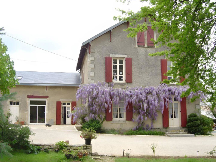 Les Vieilles Vignes - Deux-Sèvres