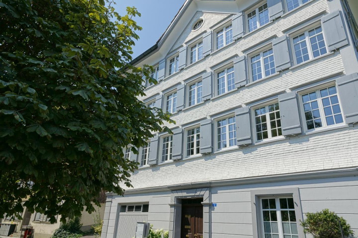 Modernes Apartment In Historischem "Haus Zur Rose" - St. Gallen