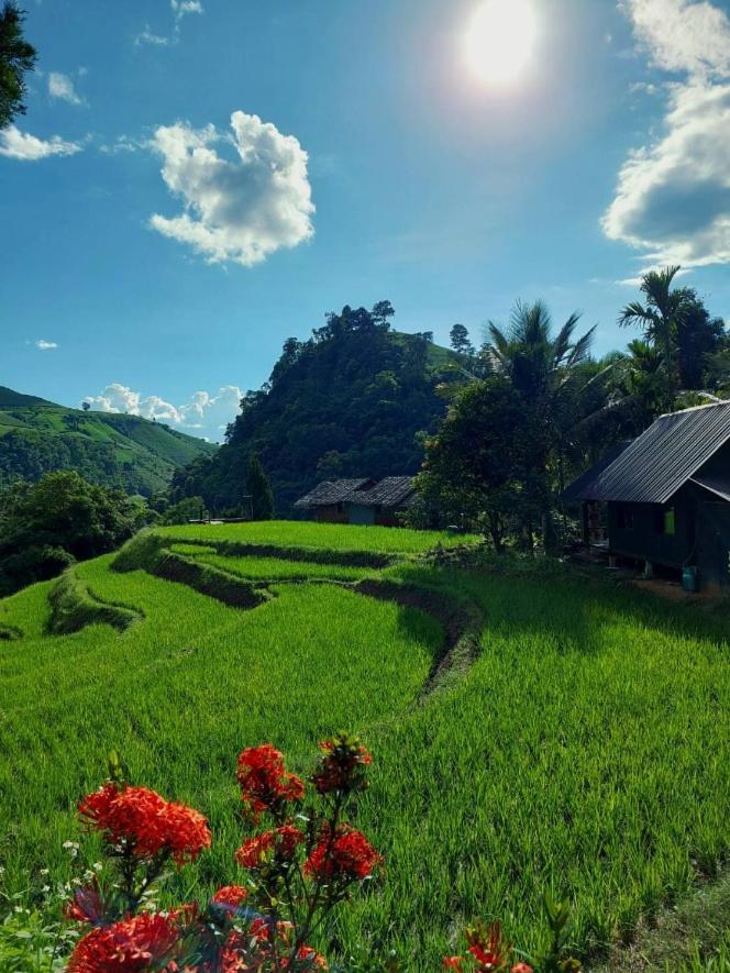 Kowitfarmstay -