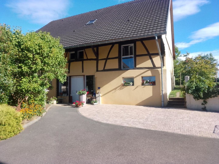 Fritsch - Mulhouse