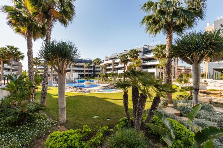 Imperial Flamenca Apartments - Playa Flamenca