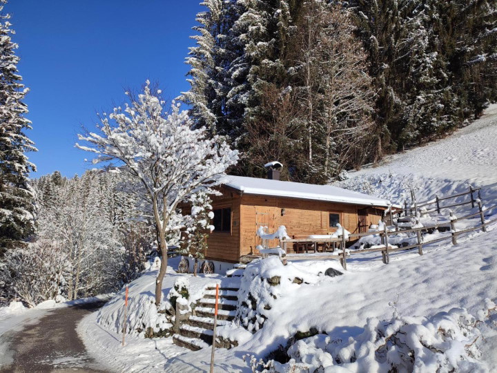 Ferienhaus Strauss - Westendorf
