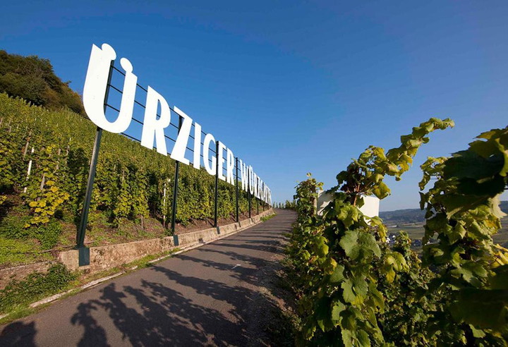 Weingut Rebenhof - Zeltingen-Rachtig