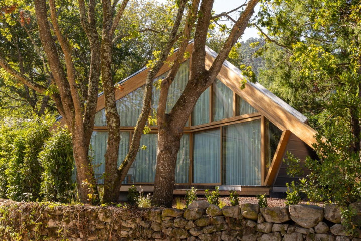 Cabañas De Xarás, Mimosa - Pontevedra