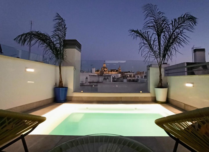 Luxury Penthouse With Private Pool Setas Monument - Sevilla