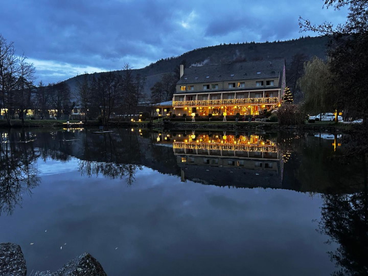 Hotel Du Lac - Rouffach