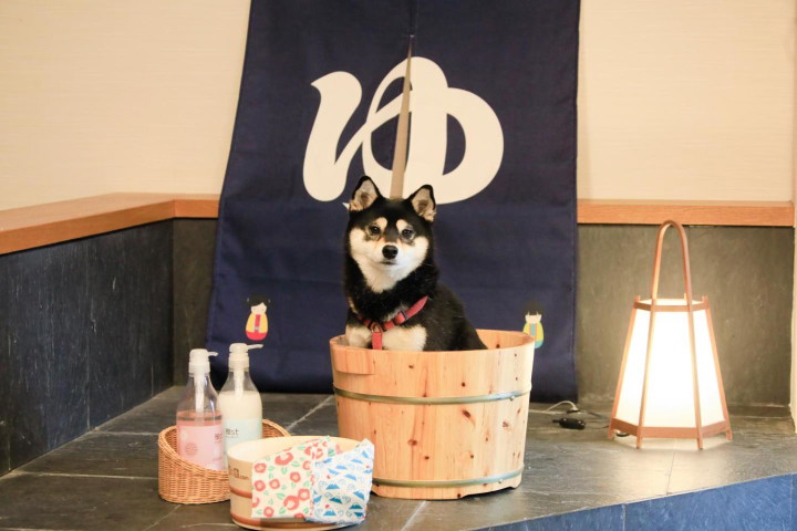 Yururi Nishiizu - Izu