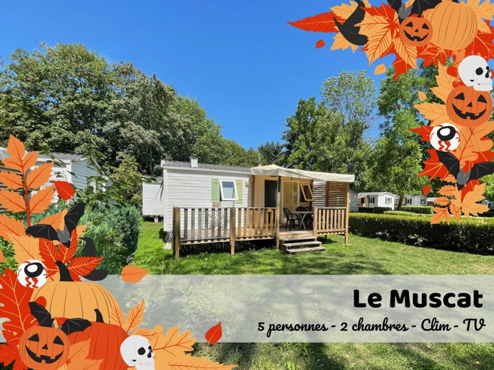 Le Muscat - Bungalow Pour 5 - Tv - Clim - Alsace