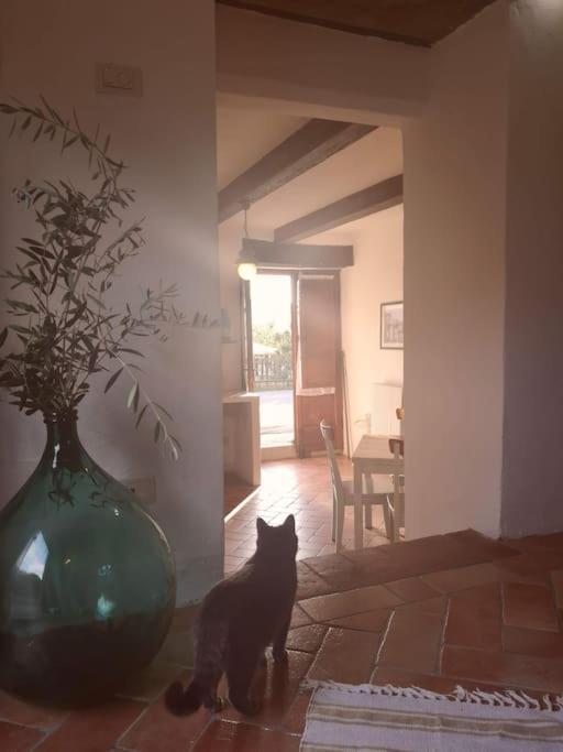Fantastic Apartment In The Heart Of Toscana - Arezzo