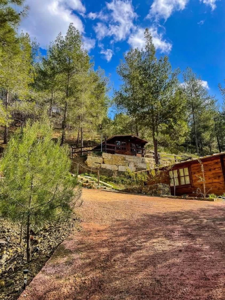 Bosco Paradiso - Chypre