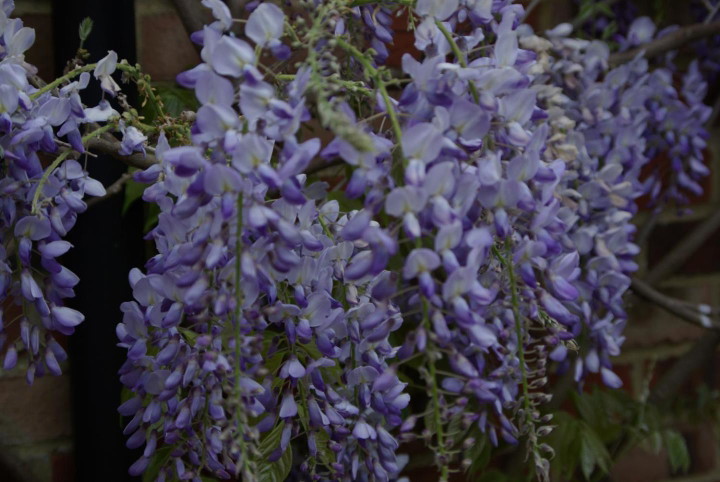 5 Charlton Mill Way B&b - Midhurst