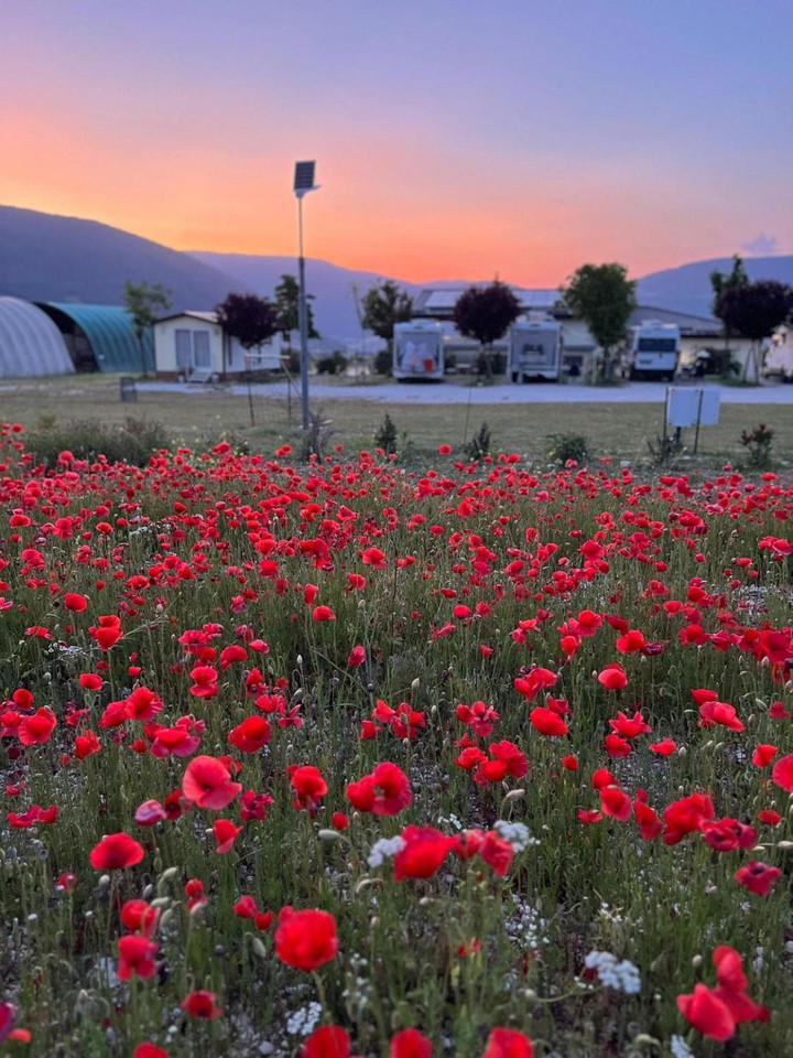 Agricamping Brandimarte - Bungalow Del Pastore - Norcia