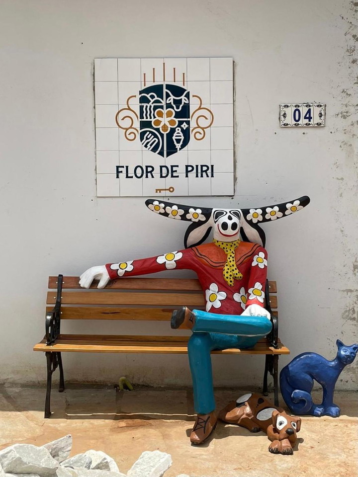 Pousada Flor De Piri - Pirenópolis