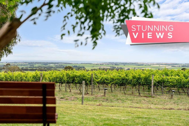 Willunga House - Fireplace Vineyard Views - McLaren Vale