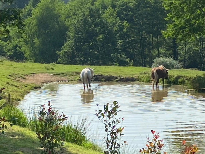 Domaine De Domingeal Meublé De Tourisme 3 éToiles - Brive-la-Gaillarde