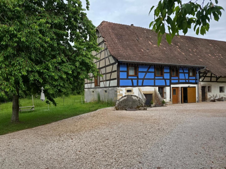 Achille - Haut-Rhin