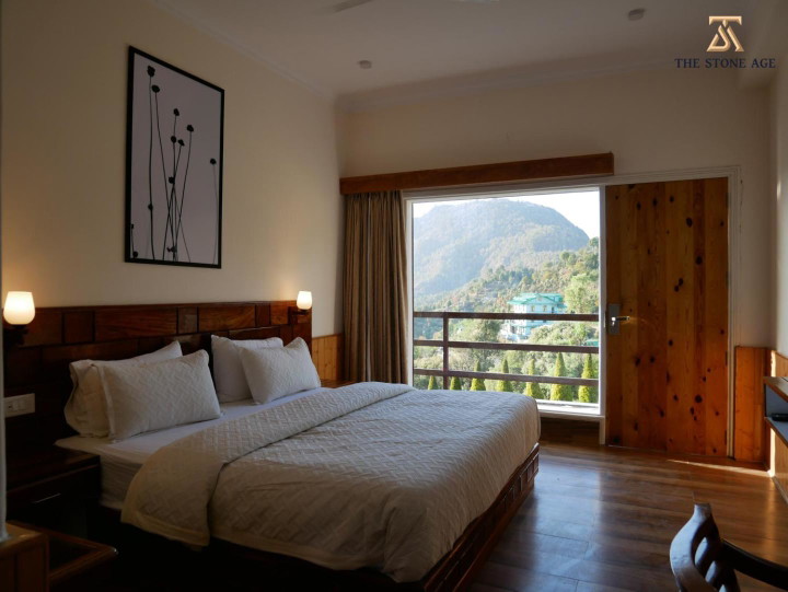 The Stone Age : A Boutique Hotel - Shimla