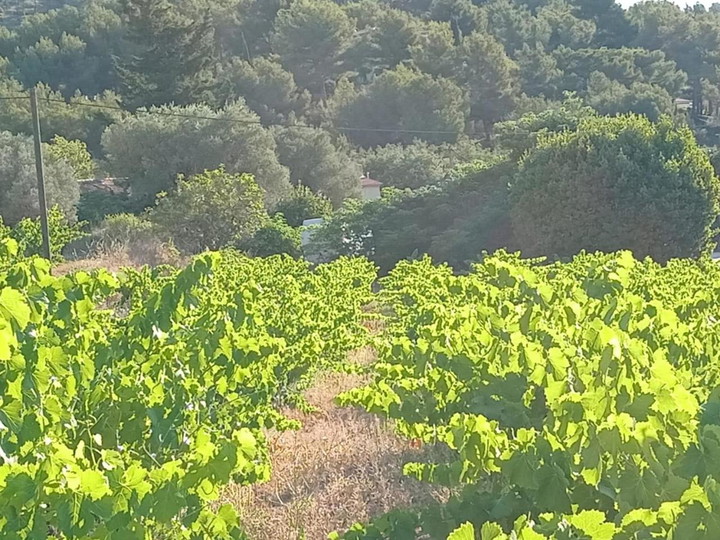 Maison à La Naronne - Bandol