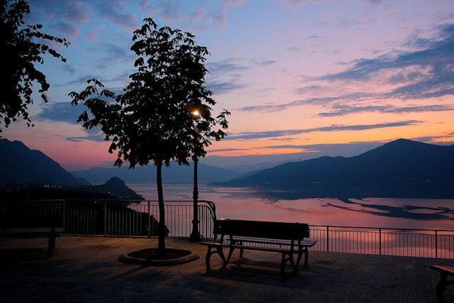 Appartamento Il Tulipano - Luino