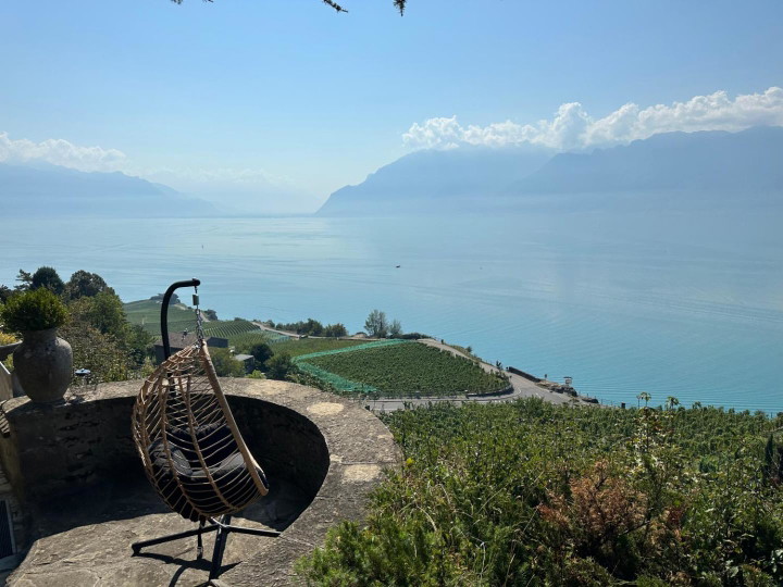 Panoramic Room In The Vineyard,stunning Views Of Lake And Alps - Canton de Vaud