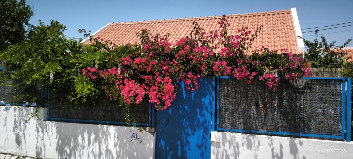 28 Casa Do Avô - 2km From The Beach - Amora