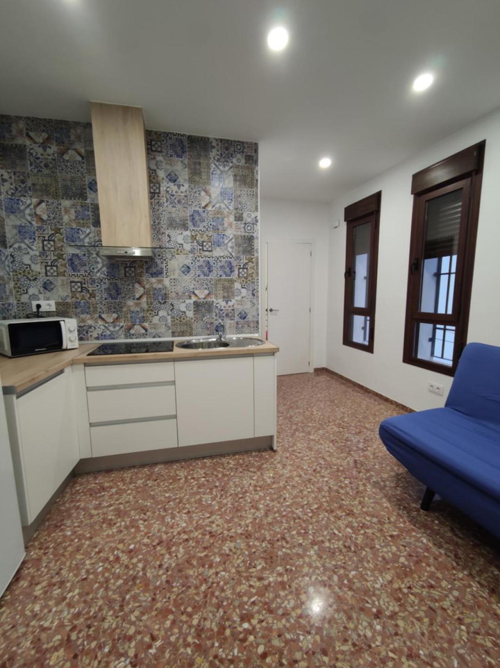 La Casa De La Mimosa - Cordoue