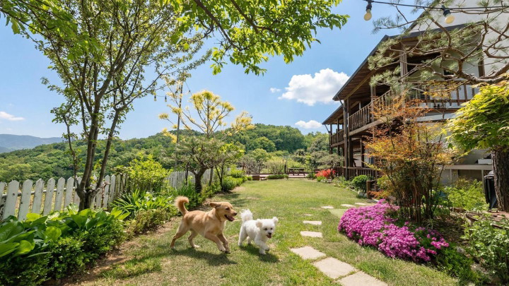 가평 아트 펜션 - 경기도