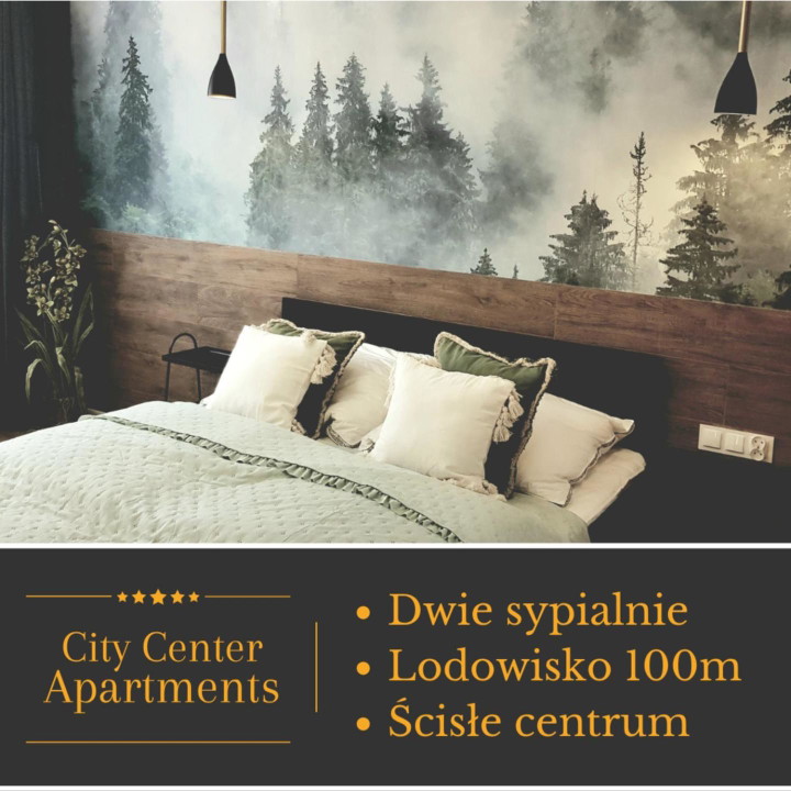 Apartament City Center Rodzinny - Krynica-Zdrój