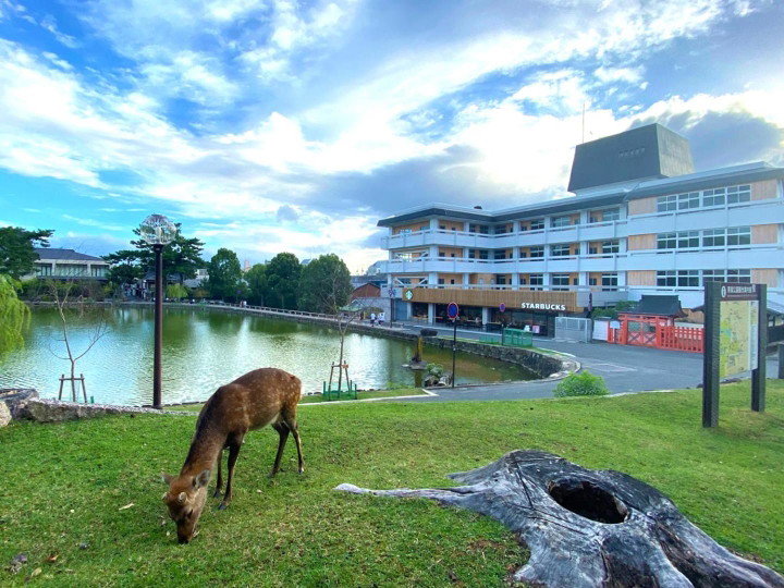 Hotel Tenpyo Naramachi - Nara