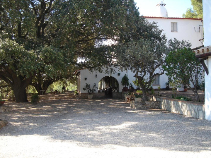 Masia Rural Les Alsines - Alcover