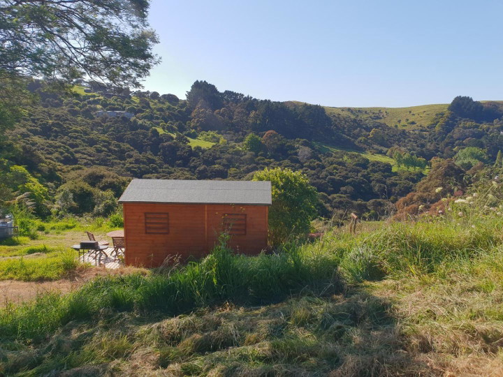 Wild Days Accommodation - Auckland