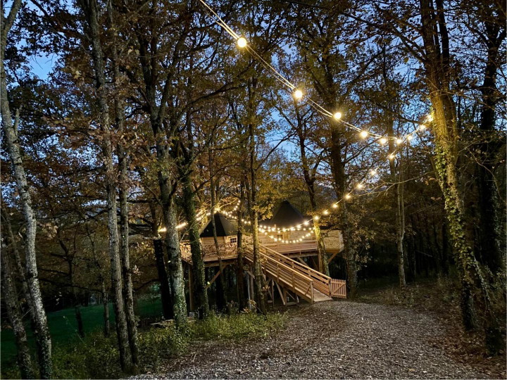 La Cabane Perchée Du Grand Chêne - Lezoux