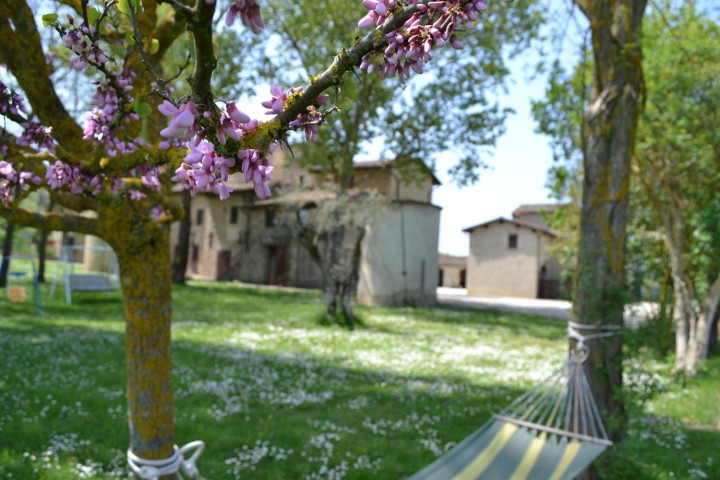 Agriturismo Nestore - Umbria