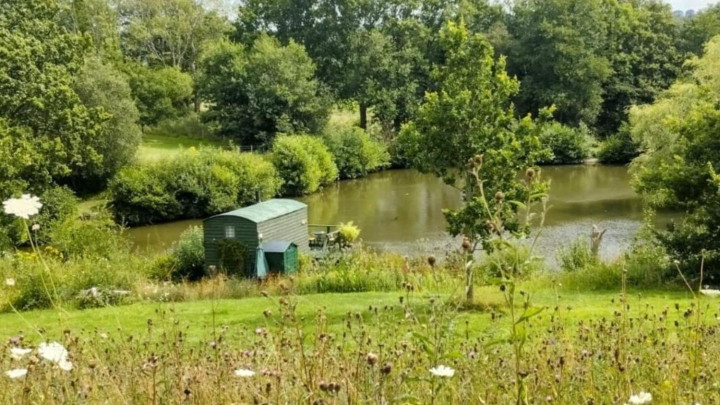 Snug & Secluded Lakeside Shepherds Hut 'Carp' - Crowborough