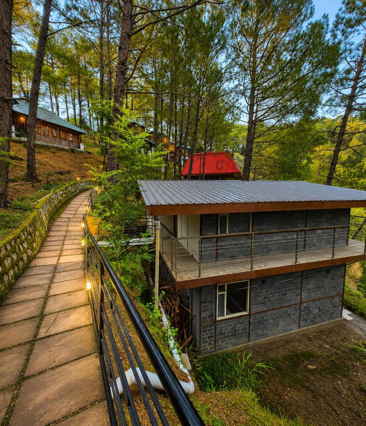 Pine Wood Cottage Jungle Resort - Shimla