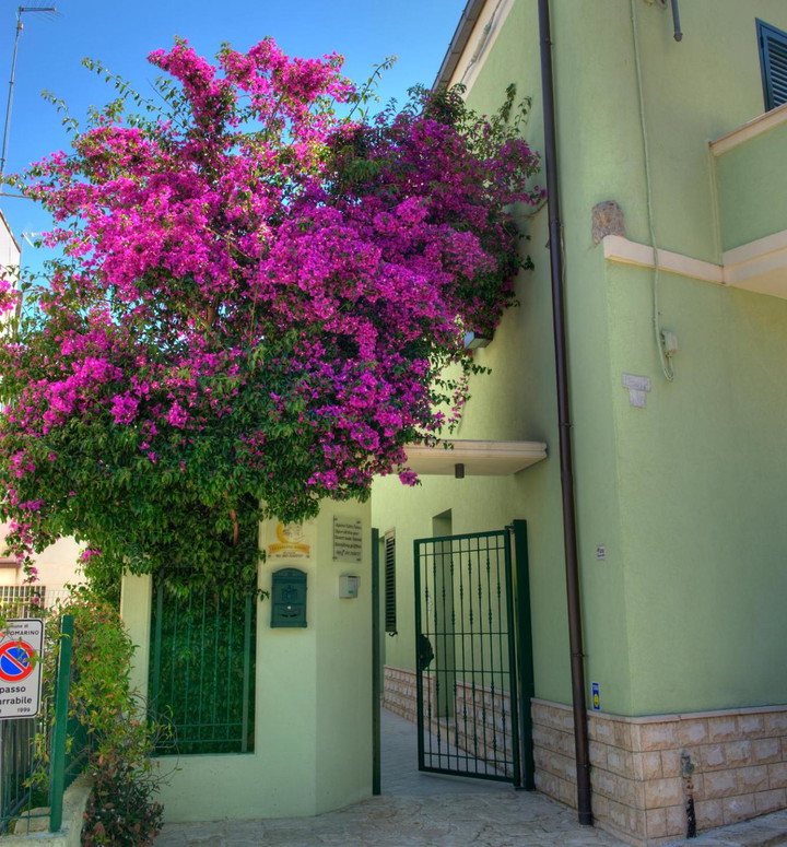 La Casa Del Nonno - Termoli
