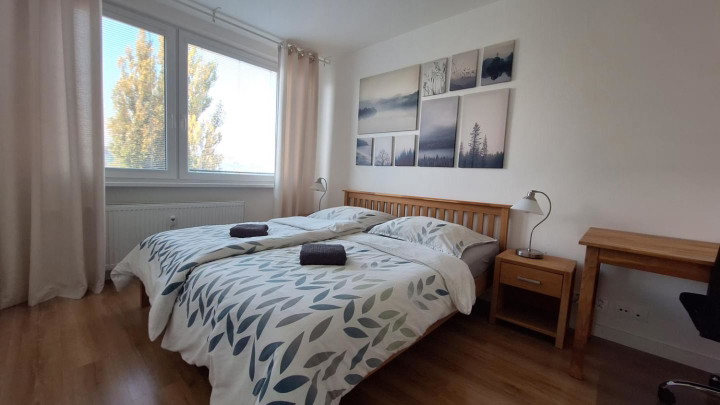 Spacious Apartment In The Park - Koszyce