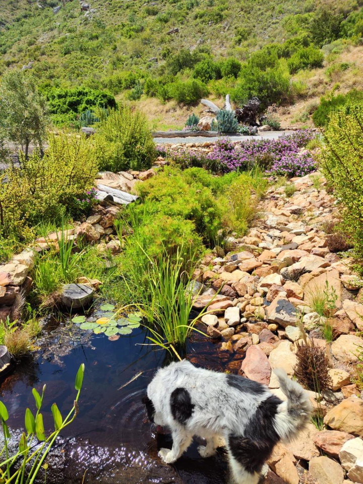 Roodekloof - South Africa