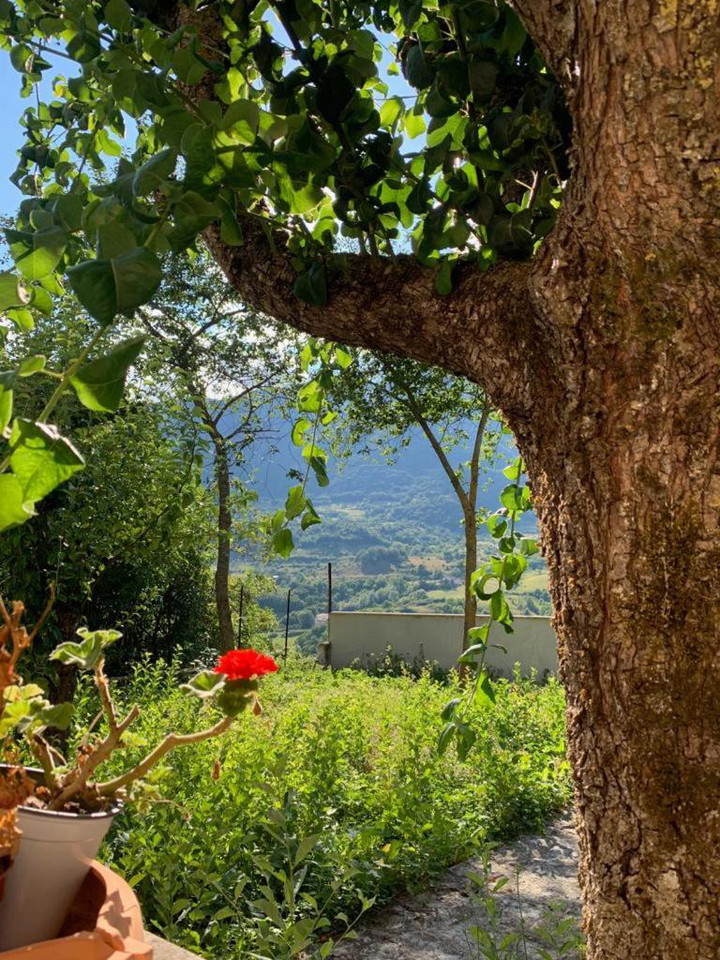 B&b Al San Francesco - Barrea